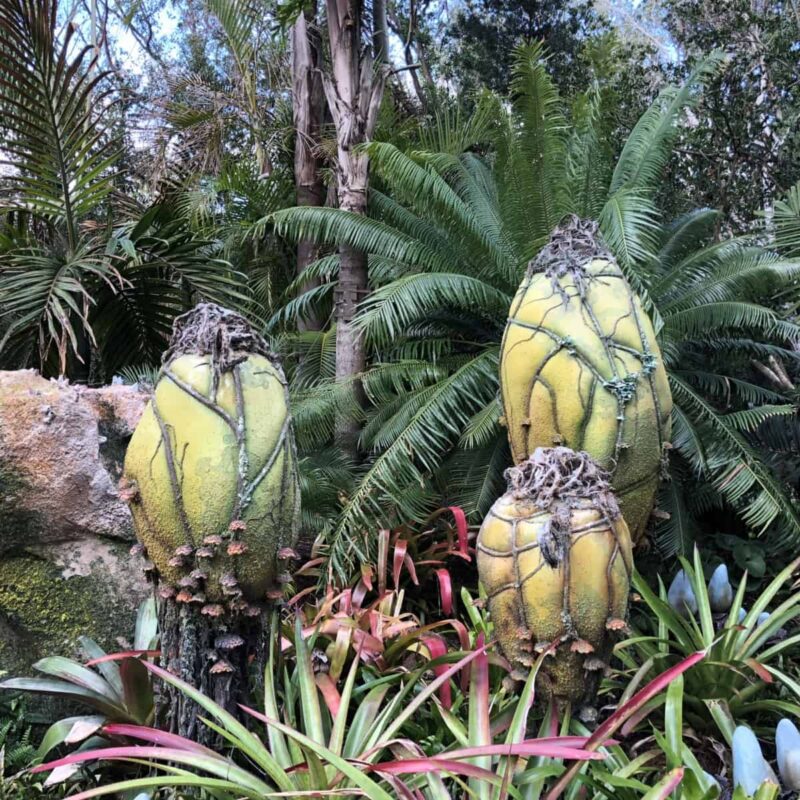 Disney World of Avatar Highlights + The Dolphin Resort Renovation