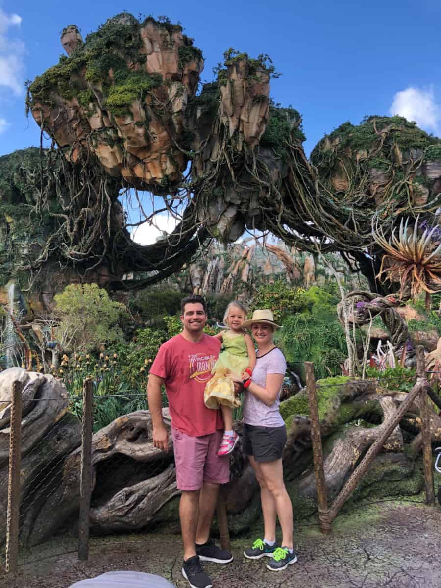 Disney World of Avatar Highlights + The Dolphin Resort Renovation