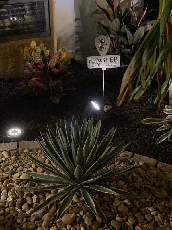 Affordable Landscaping Services in Boca Raton, FL Guide