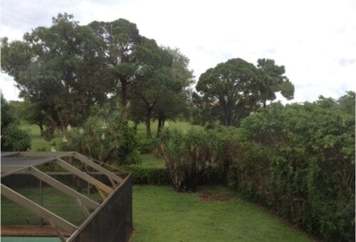 Affordable Landscaping in Boca Raton is a Reality with Yards Plus