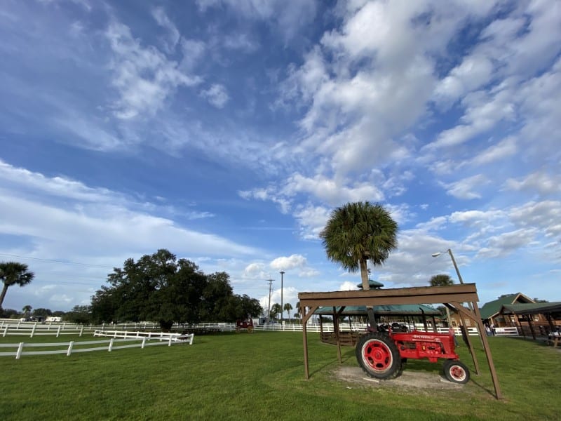 How to Visit Central Florida's Westgate River Ranch on a Budget