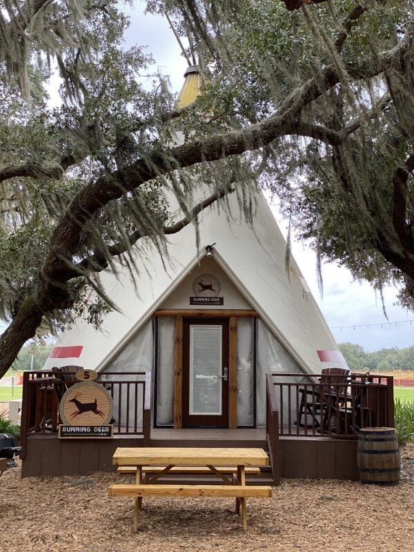 How to Visit Central Florida's Westgate River Ranch on a Budget